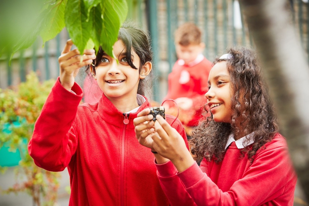 The BBC micro:bit playground survey has launched! - Technocamps